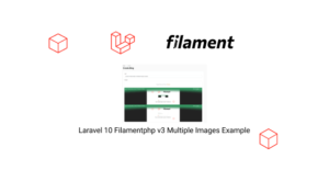 Laravel 10 Filamentphp v3 Multiple Images Example - Larainfo